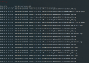 Nixintel Open Source Intelligence & Investigations Carbon-14: Verifying The Age of A Website